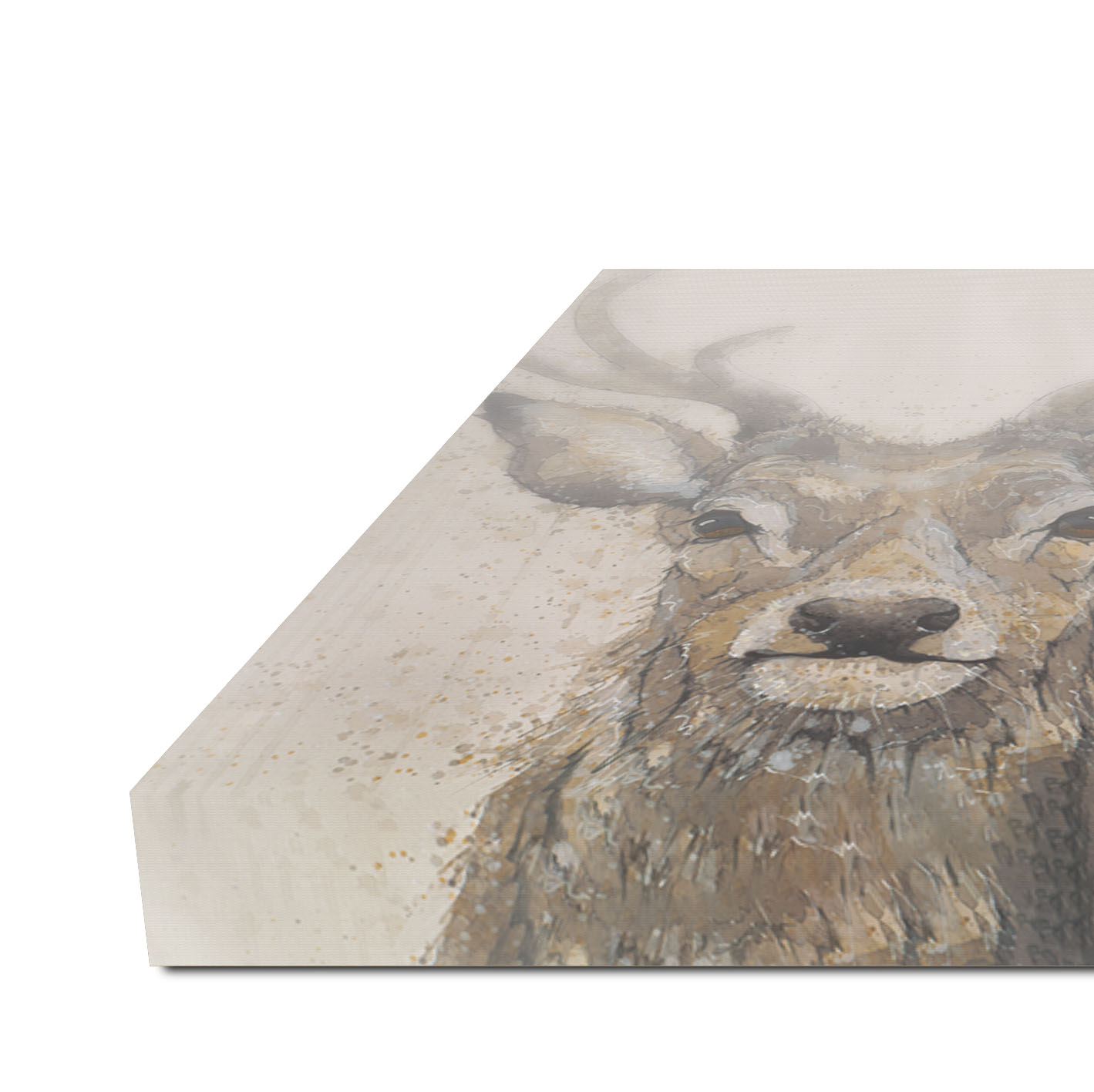 Bev Davies (Serene Majesty) Canvas Print | The Art Group