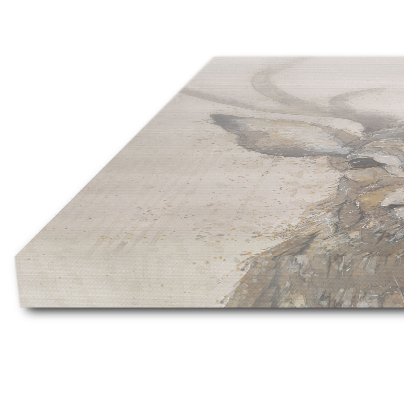 Bev Davies (Serene Majesty) Canvas Print | The Art Group